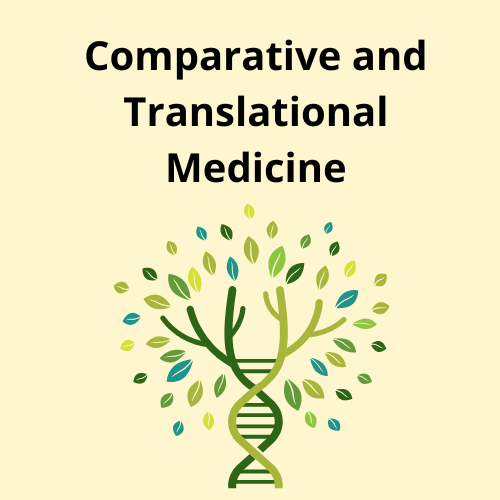 A systematic review on infectious agents inducing cancer in animals ...